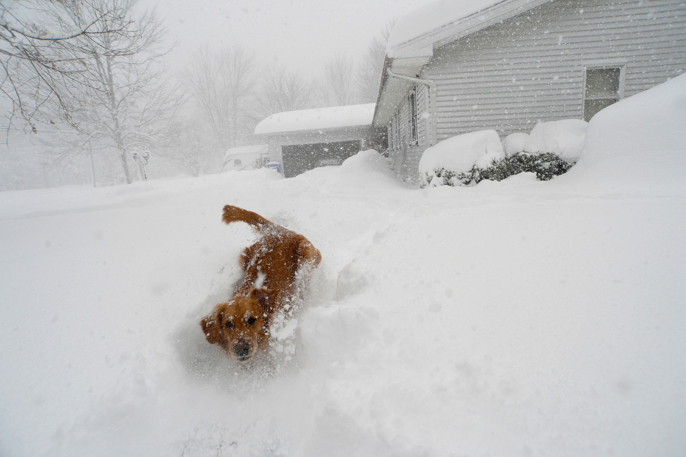 IN BEELD. “Historische sneeuwstorm” gijzelt noorden van VS ...