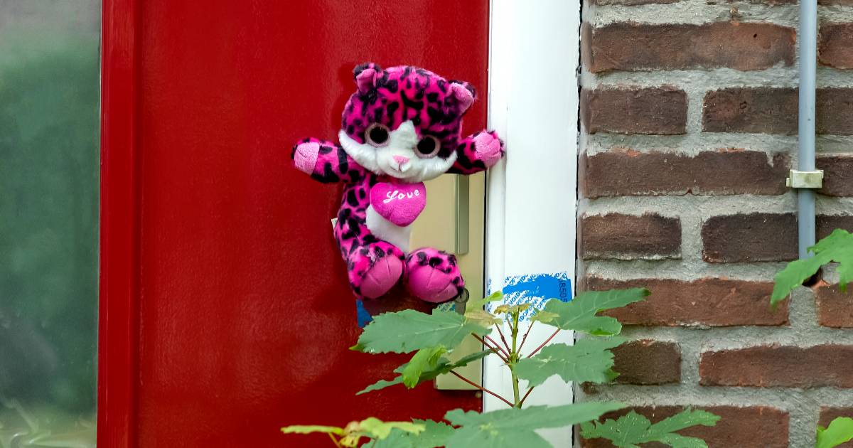 Zwaargewond 10-jarig meisje was volgens pleegouders van trap gesprongen, politie vertrouwde het ...