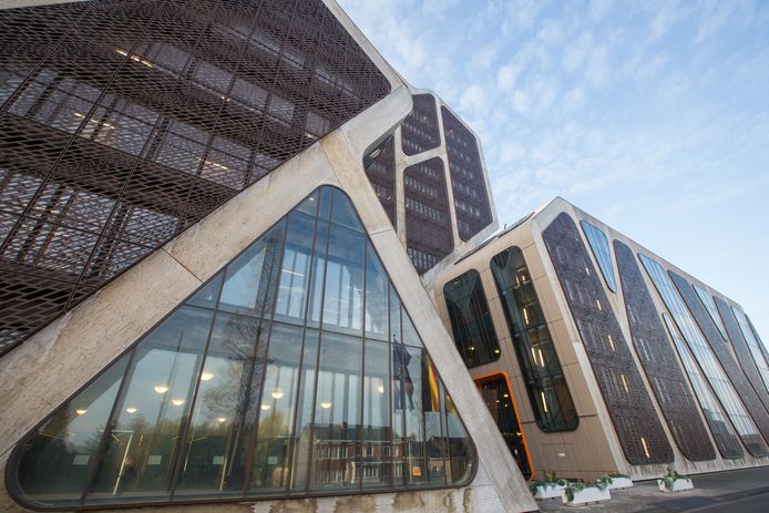 Jongeman die met bromfiets tegen politiewagen botst krijgt 15 maanden ...