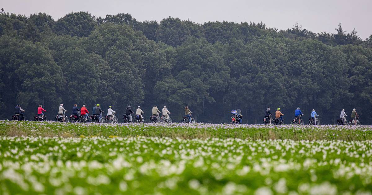 Fietstocht bij Gezinsbond Ressegem | Herzele | hln.be