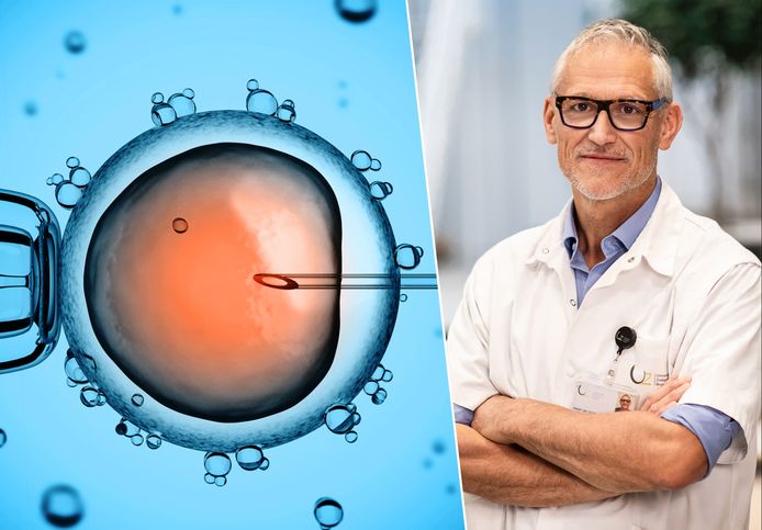 Een baby maken is plots veel duurder geworden: “Vrouwen zoeken ...