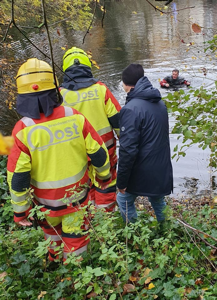 Brandweer redt hond uit het water die vast komt te zitten | Dendermonde | hln.be