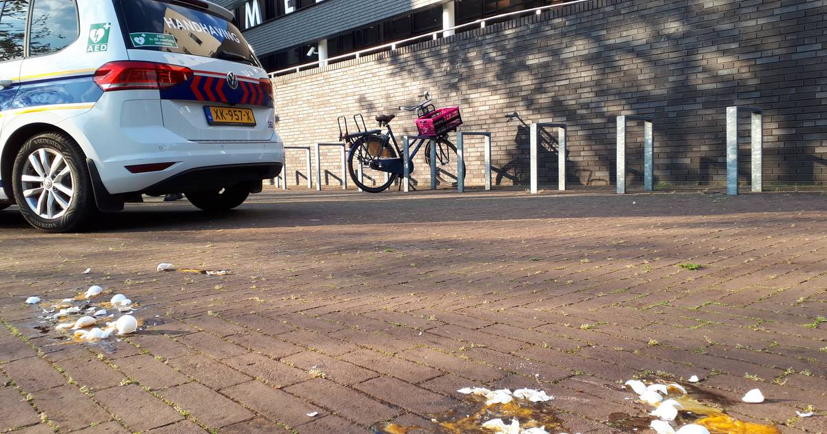 Zoon Arie den Dekker besmeurt gemeentehuis Oss met eierstruif: ‘Veeg m ...