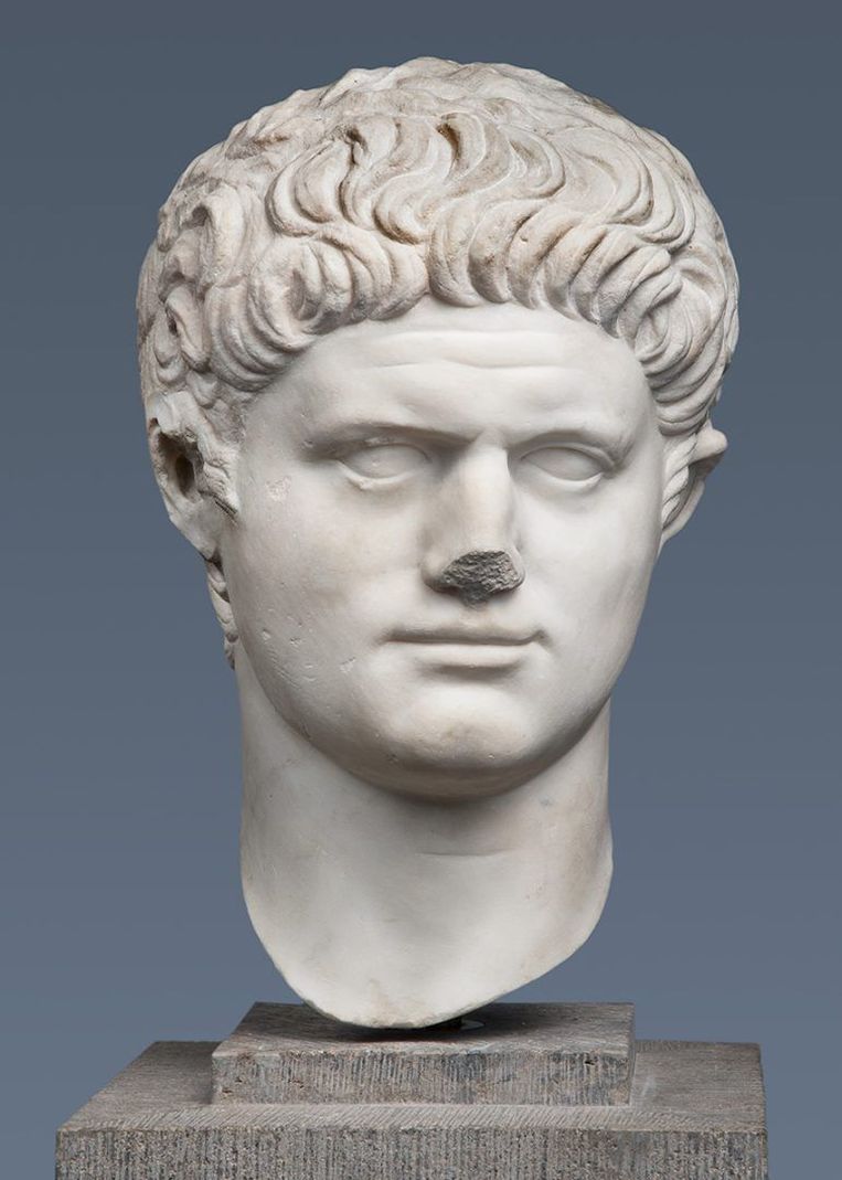 Expositie in Rijksmuseum voor Oudheden toont dat keizer Domitianus ...