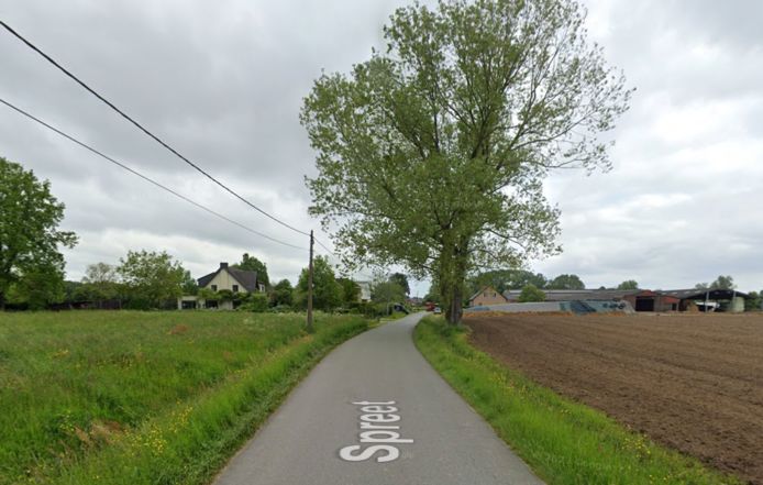 Kraanwagen moet uitwijken en belandt tegen boom in gracht: “Omwille van ...