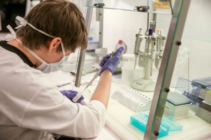 Labo Jessa Ziekenhuis bevestigt: Britse coronavariant trof Truiense ...