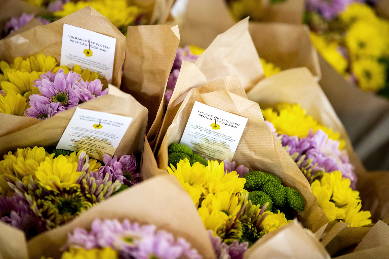 Wil je dit jaar een persoonlijk boeket op het graf van een geliefde ...