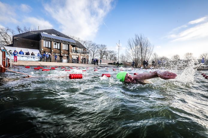 IN BEELD. Met 120 ijsberen het (niet zo) koude water in: “Voor ons ...