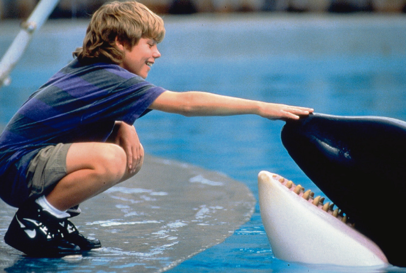 Deze week nieuw op Netflix: The Girl on the Train, Free Willy en ...