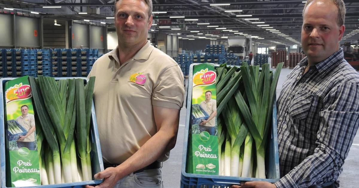 REO Veiling verkoopt eerste prei | Roeselare | hln.be