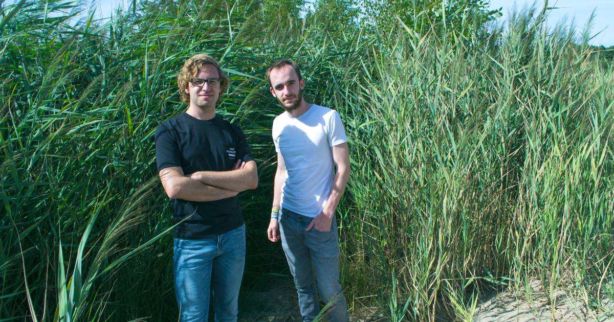 Limburgs muziekduo kende weinig succes, tot Netflix-serie ‘Love is ...