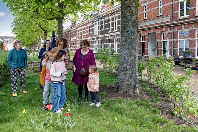 De rechtvaardigste straat van Nederland ligt in Den Bosch: ‘Een ...