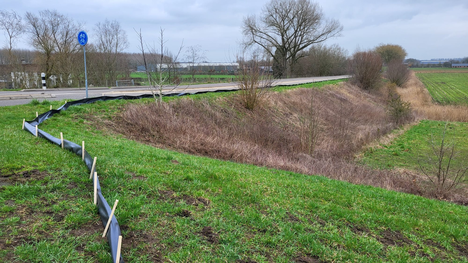 ‘Redden wat er te redden valt’: nieuwe methode om kamsalamanders veilig ...