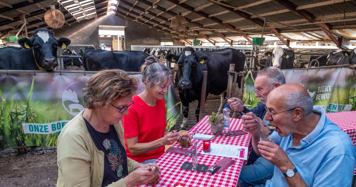Fietsen door kassen, eten tussen de koeien: deze bijzondere tocht leidt ...