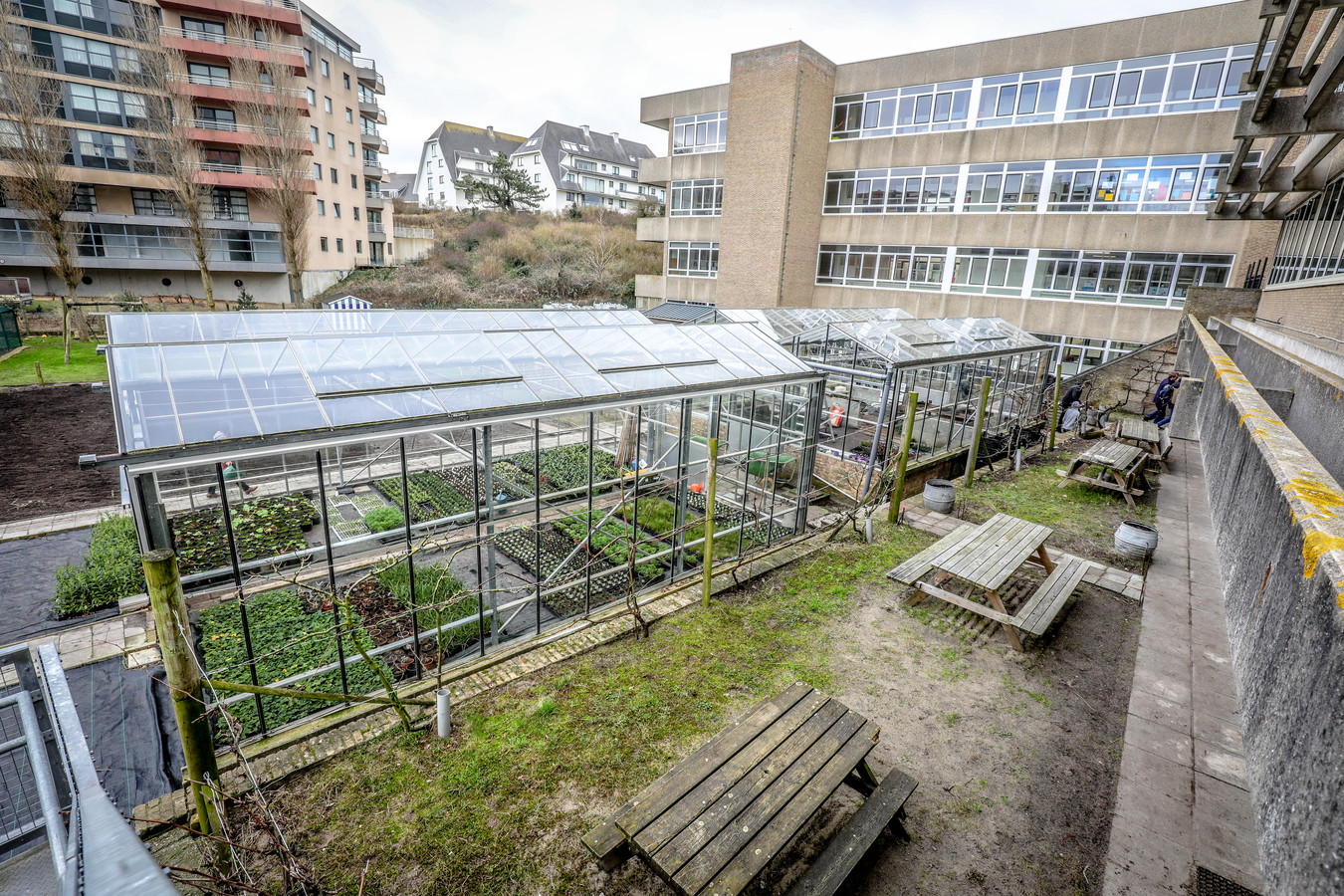 Eric Goens draait docu in ‘buitengewone’ school van broer Dirk ...