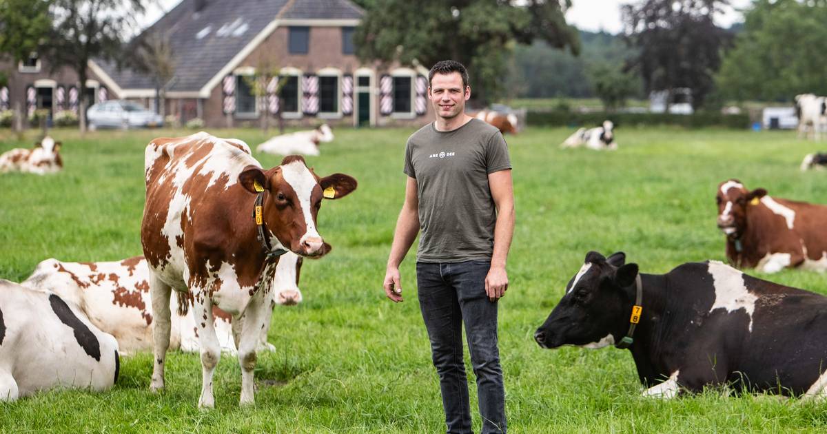 Hart van Sallandse Boer 2023 ligt bij veilig en goed voedsel: ‘Niet ...