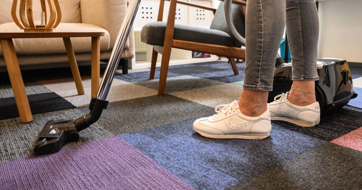 Hulp bij het huishouden in Heeze-Leende voor nieuwe klanten ...