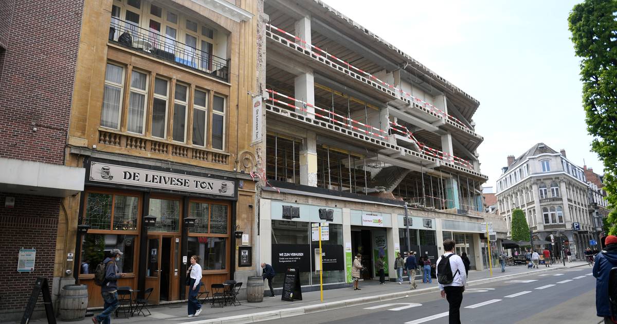 Twee winkeldieven gearresteerd in Bondgenotenlaan | Leuven | hln.be