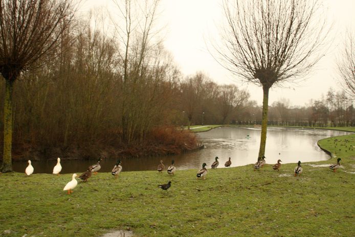Beweeg je fit: wandelen langs het Beemdenpad in Landen | Landen | hln.be