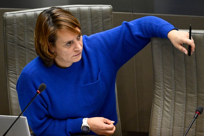 Groen-politica Elisabeth Meuleman ruilt nationale voor lokale politiek ...