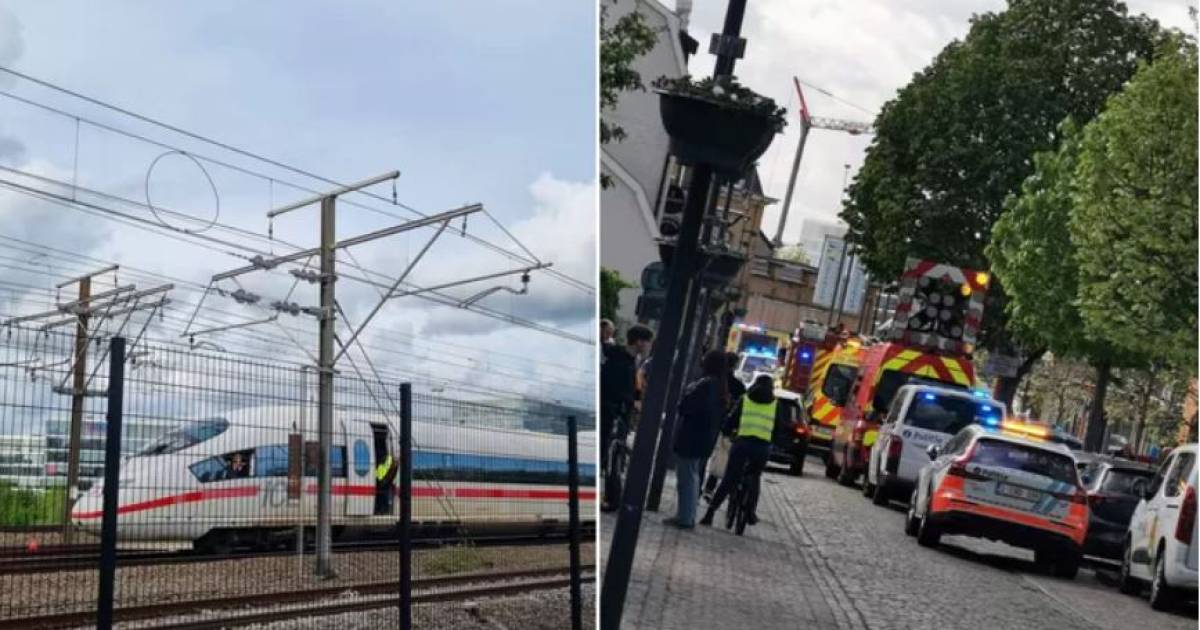 Bagarre à la gare de Zaventem: la police à la recherche de témoins et d ...