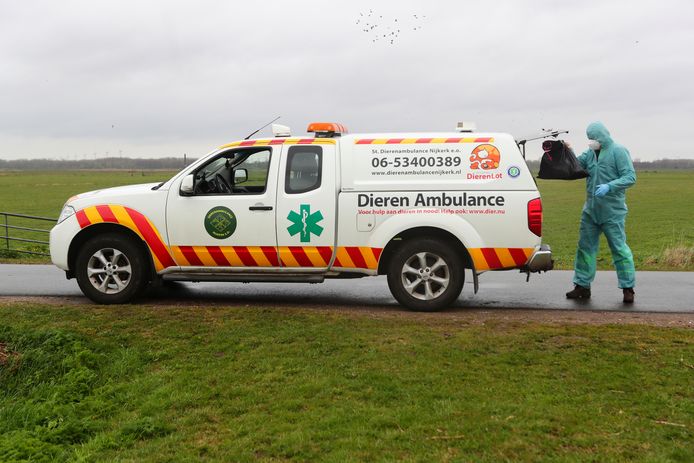 Gewonde en verwilderde dieren in Nijkerk nu opgevangen door ... Gewonde en verwilderde dieren in Nijkerk nu opgevangen door ...