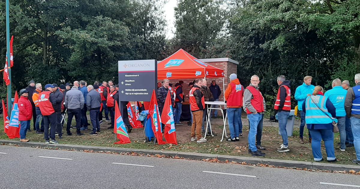 Medewerkers van Aspen in Oss zetten directie verder onder druk met ...