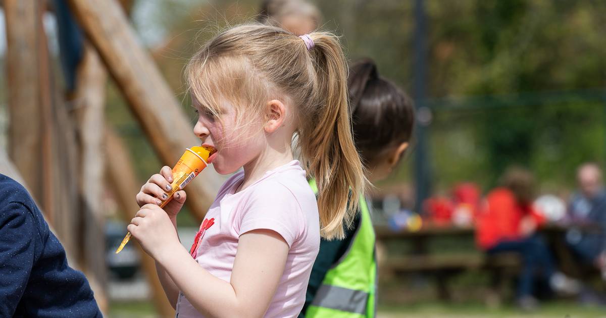 WEERBERICHT. Eerste “echte lentedag” op komst: vandaag al zonnig en ...