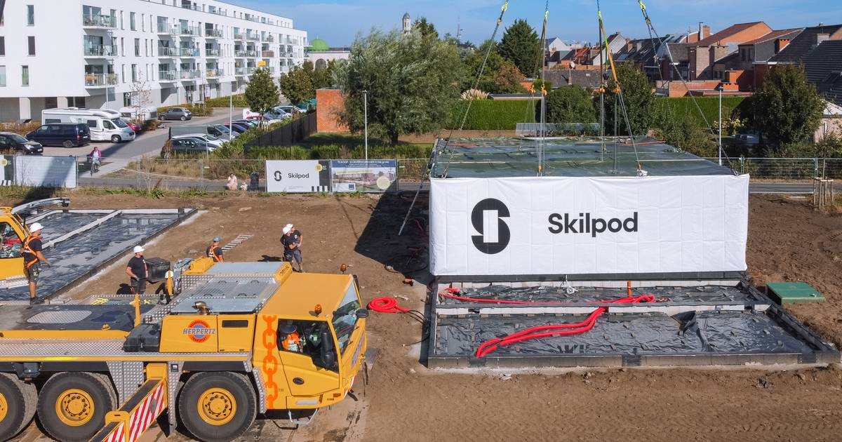 Skilpod bouwt op Hoedhaarsite nagelnieuwe woonbuurt in amper 4 dagen | Lokeren | hln.be