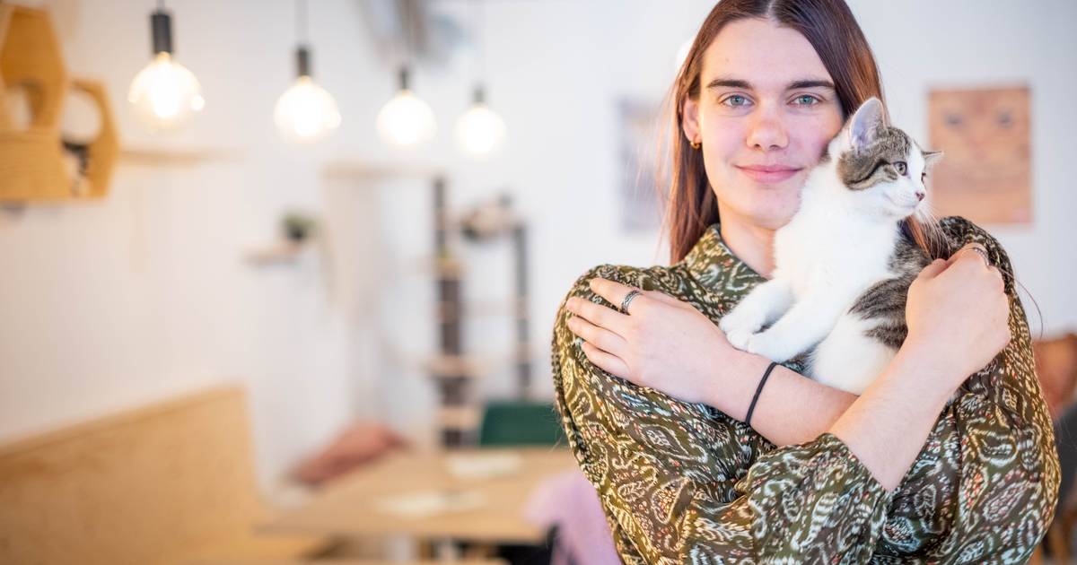 Cats & Cups viert volgende week eerste verjaardag: “Gaven al veel meer ...