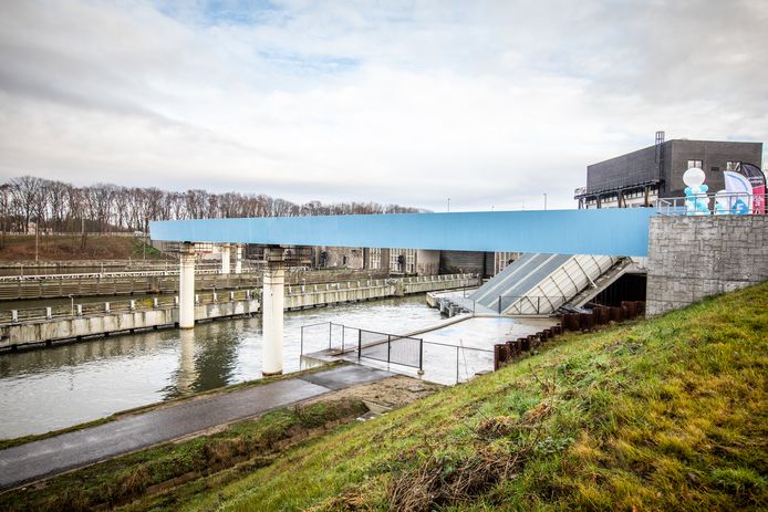 Fietsbrug ‘De Langeman' over Albertkanaal in Godsheide officieel geopend | Hasselt | hln.be