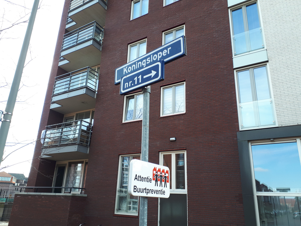 Over een loper van het station naar het centrum van Oss | Foto ...