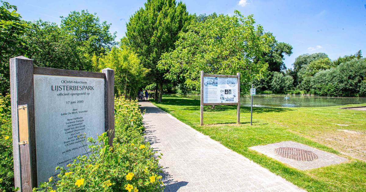 Jeugdhuizen toveren Lijsterbespark vier dagen lang om tot pop ...