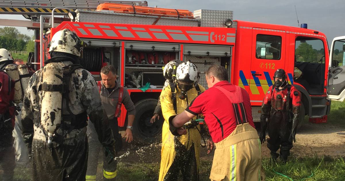 Brandweer redt hond uit beerput | Geraardsbergen | hln.be