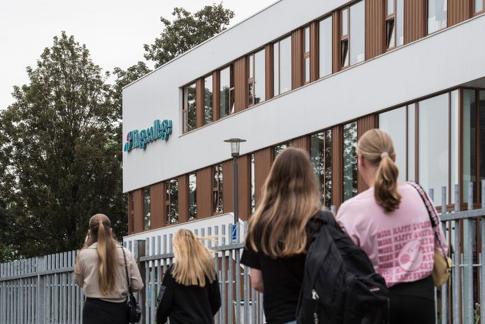 Personeel is wangedrag schoolbestuurder Toine Schinkel zat: 'Je wordt ...