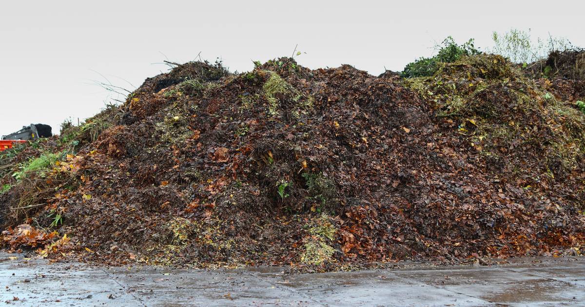 IGEAN geeft tuinhandschoen weg bij aankoop van compost | Wijnegem | hln.be