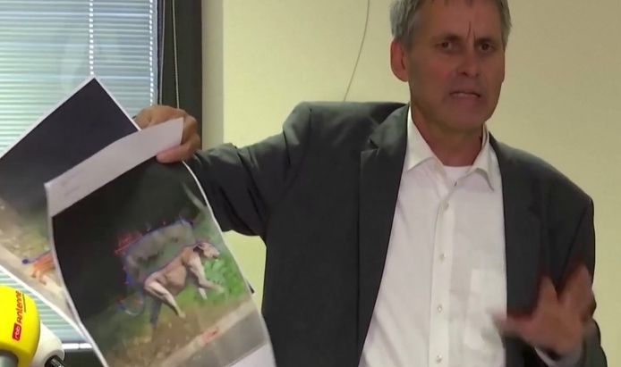 Duitse burgemeester: Alles wijst erop dat ‘loslopende leeuwin’ een wild ...