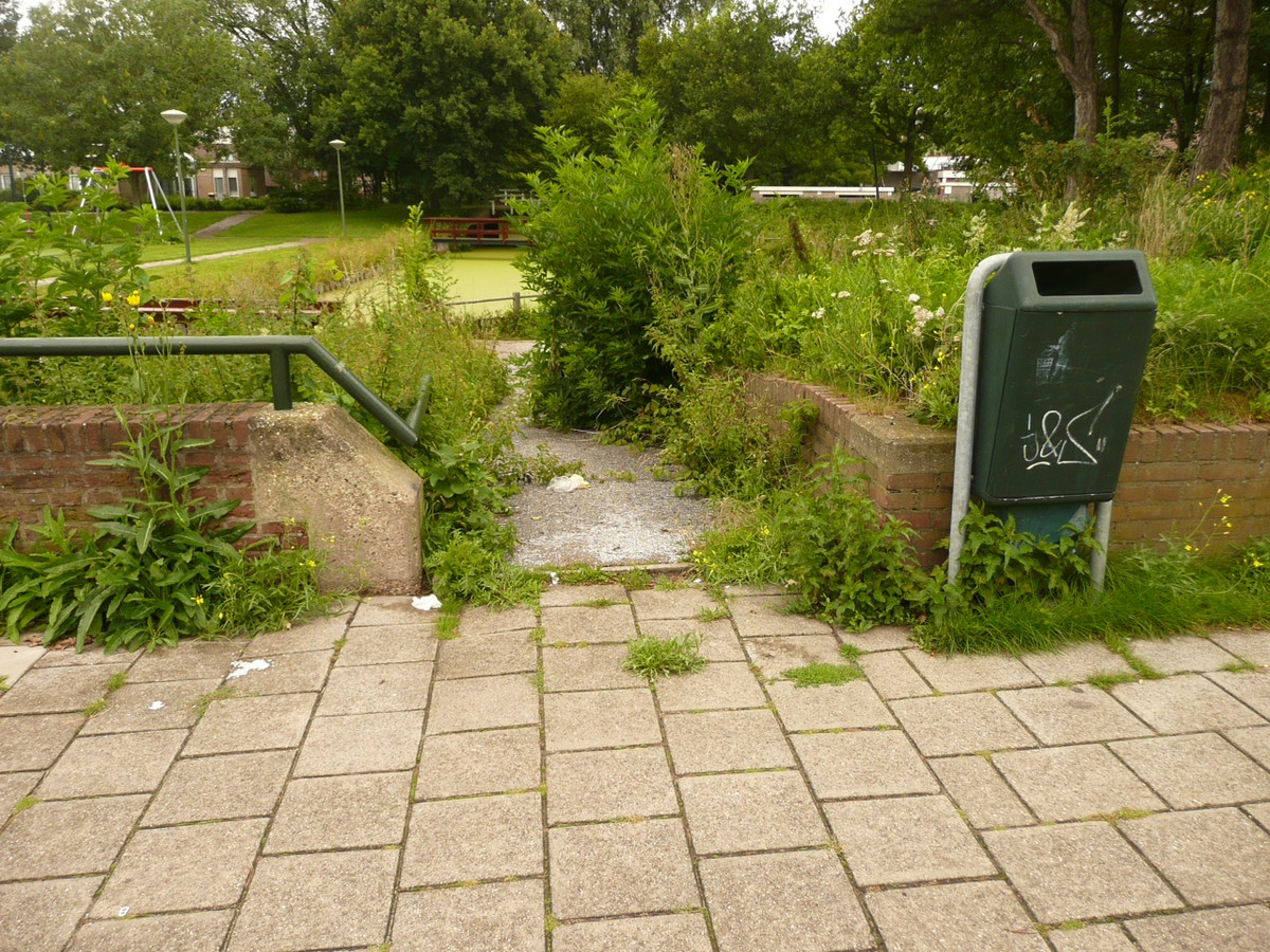 Een nieuw zwembad en hondenbelasting verdwijnt: dit zijn de nu nog ...