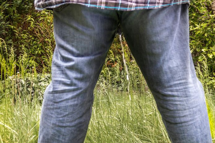 Limburger krijgt 280 euro boete voor plassen langs snelweg bij Rosmalen: ‘Levensgevaarlijk ...