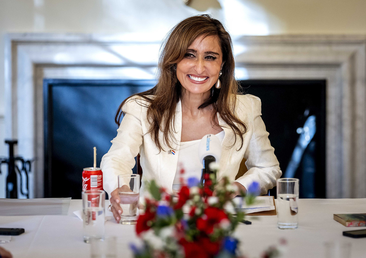 Nieuwe Amerikaanse ambassadeur gaat niet aandringen op méér Gronings ...