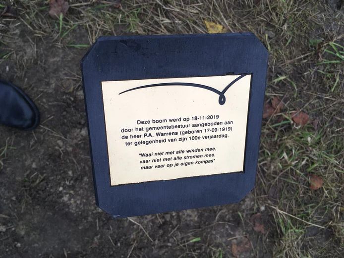 Stoffel Boot (100) zet zijn magnolia zelf in de grond | Schouwen ...