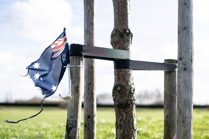Nabestaande Hans de Borst: ‘Elsemiek is vermoord in een oorlog waarvan ...