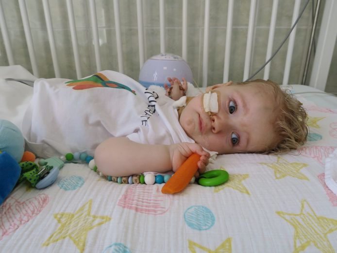 Baby Jayme (1) weer thuis na behandeling in Hongarije: ‘Wat een ...
