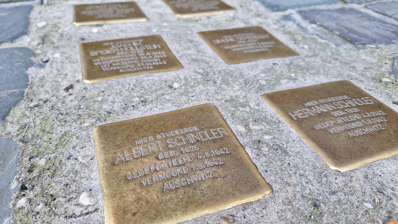 Stad Oostende introduceert reglement voor struikelstenen in Oostendse ...