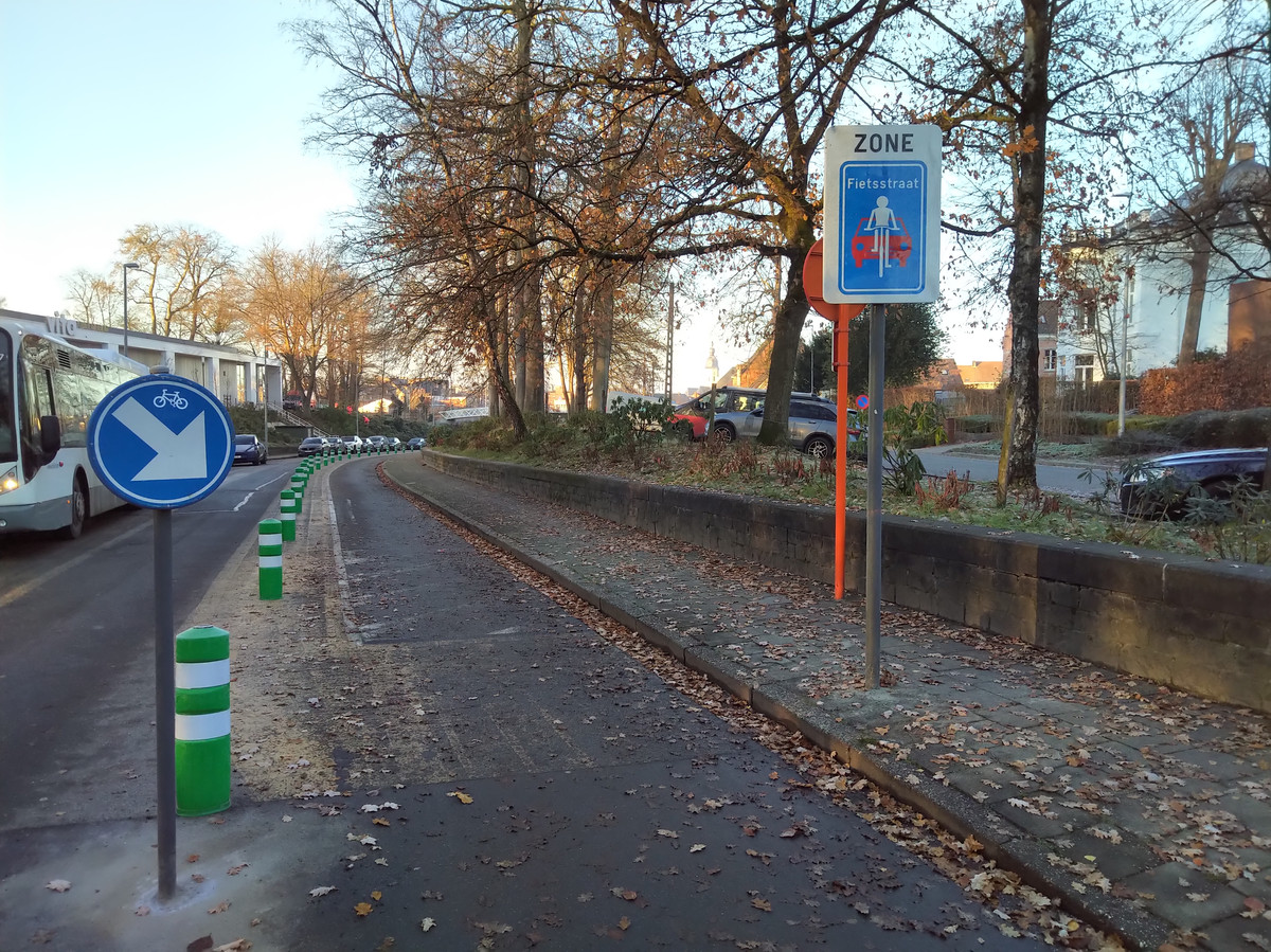 Parkeerstrook in Kasteelstraat wordt fietsboulevard | Foto | hln.be