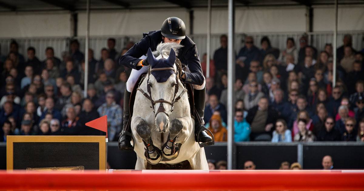 Fliere Fluiter, rijzende ster in de springsport, is allesbehalve een ...