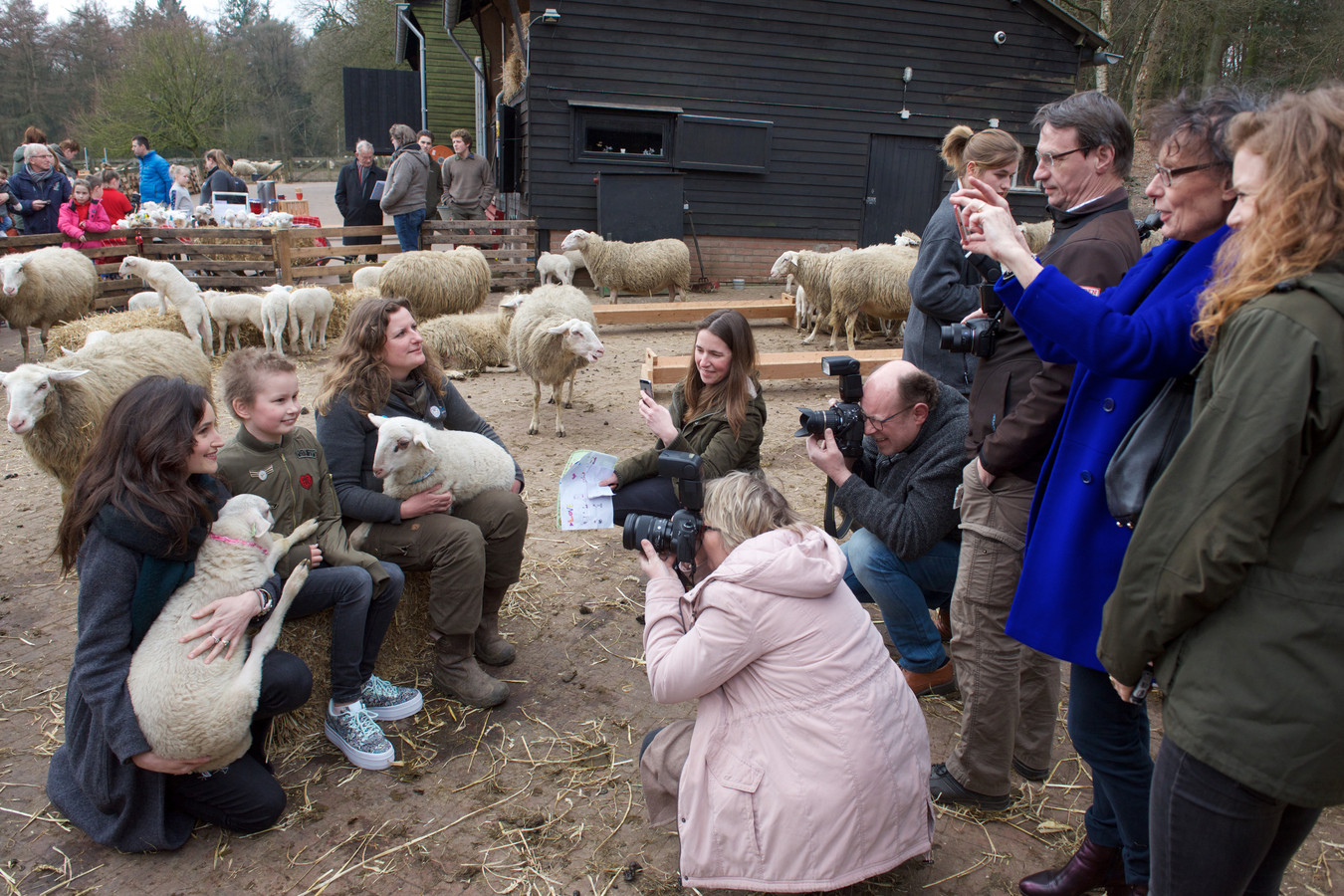 Jill adopteert eerste lammetje in Rheden en ontmoet zieke Britt (8 ...