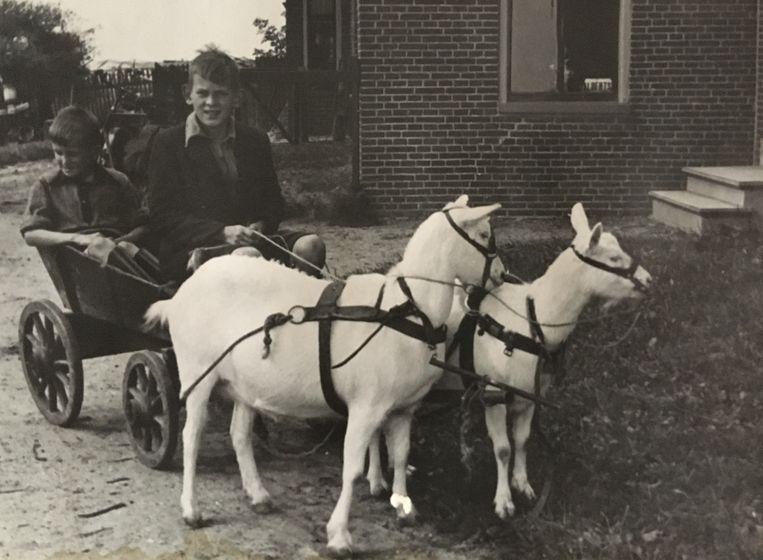 Engel Jan Struif was een echte apostel van het Grunnegs | Trouw