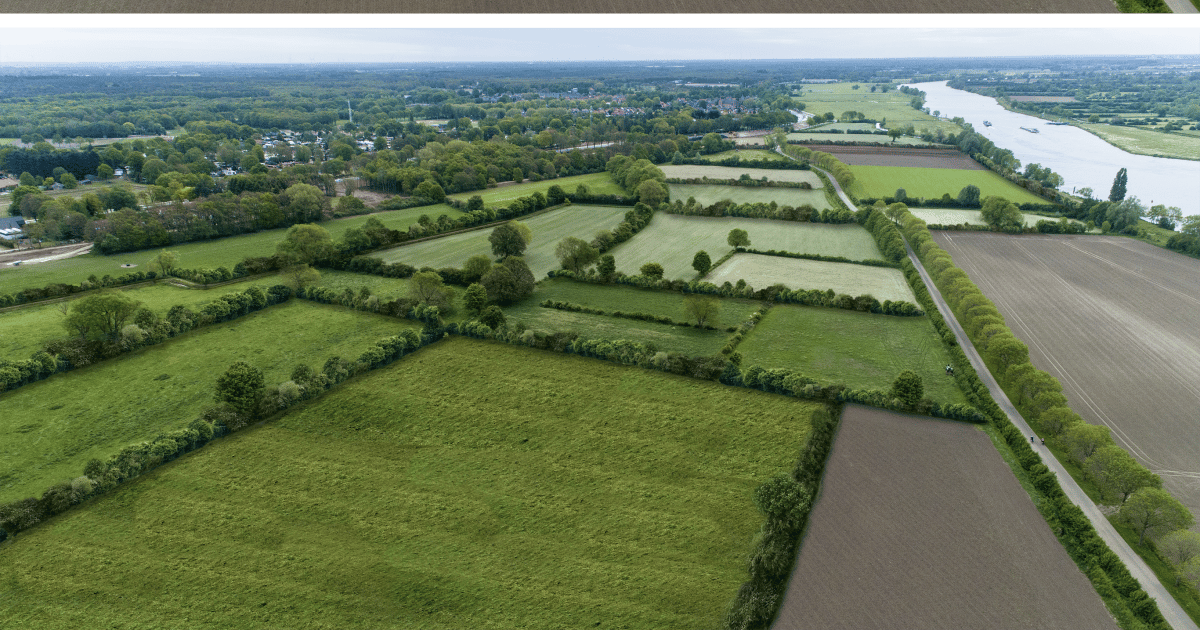 Sterker landschap in grensgebied door meer heggen en een pomp met een ...