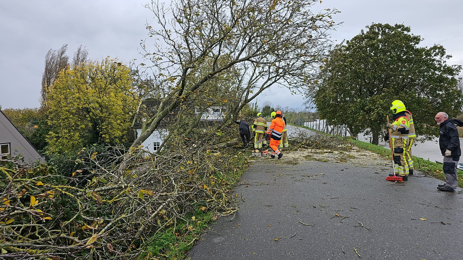 Omgewaaide bomen zorgen voor afsluiting afrit A15 en minder treinen op ...